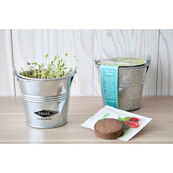 Kit personnalisé de semis - mini pot zinc 8 cm